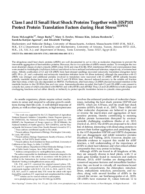 (PDF) Class I and II small heat-shock proteins protect protein ...