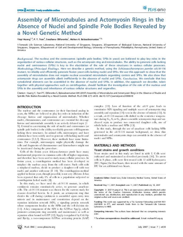 (PDF) Assembly of Microtubules and Actomyosin Rings in the Absence of ...