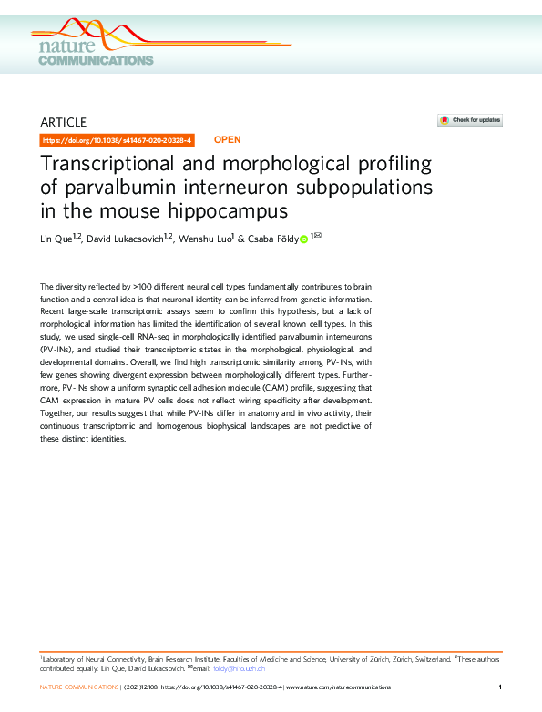 (PDF) Transcriptional and morphological profiling of parvalbumin interneuron subpopulations in ...