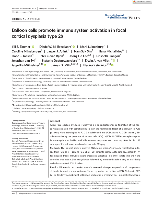 (PDF) Balloon cells promote immune system activation in focal cortical ...