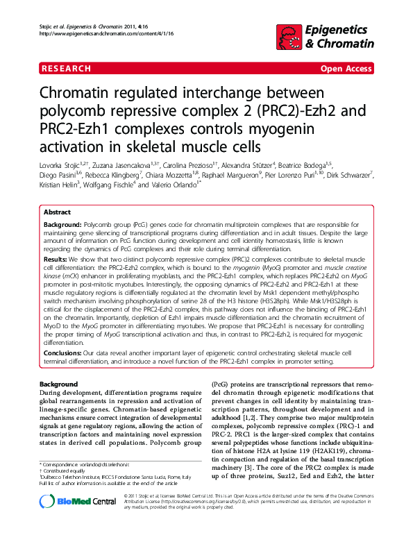 (PDF) Chromatin regulated interchange between polycomb repressive ...