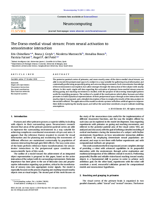 (PDF) The Dorso-medial visual stream: From neural activation to sensorimotor interaction | Angel ...