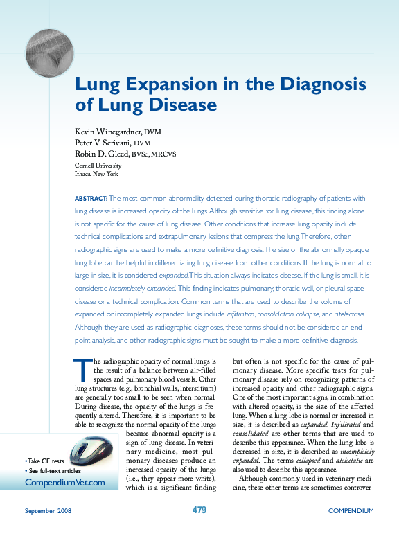 (PDF) Lung expansion in the diagnosis of lung disease