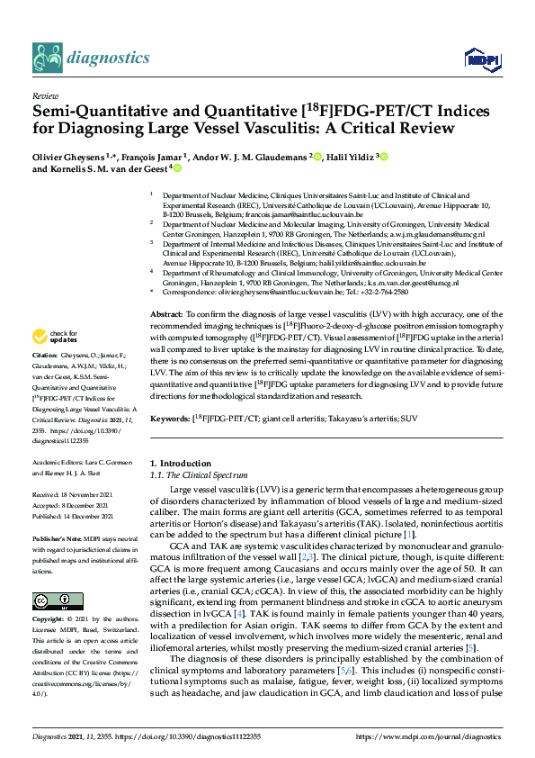 (PDF) Semi-Quantitative and Quantitative [18F]FDG-PET/CT Indices for Diagnosing Large Vessel ...