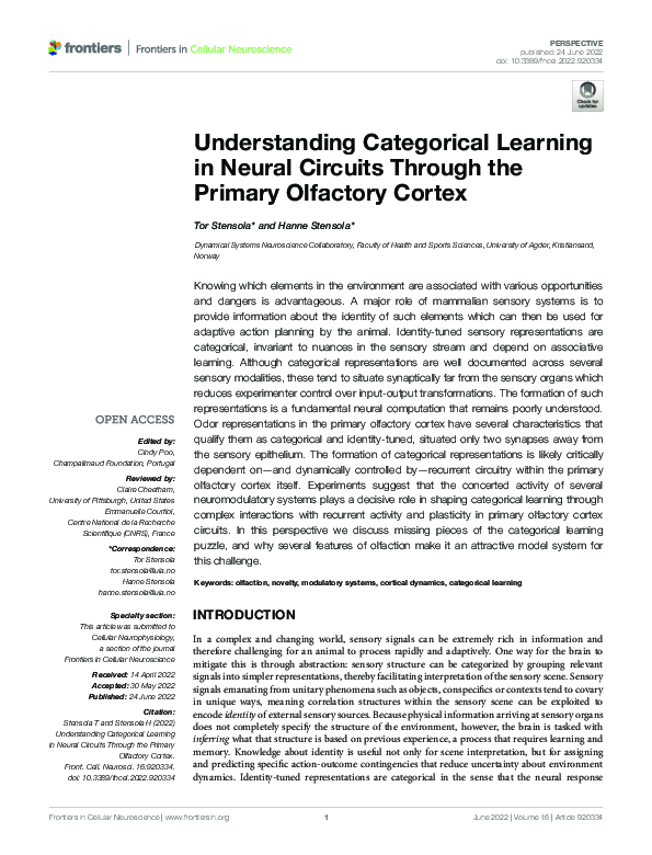 (PDF) Understanding Categorical Learning in Neural Circuits Through the Primary Olfactory Cortex