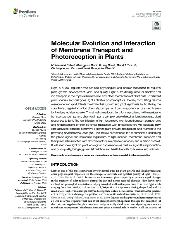 (PDF) Molecular Evolution and Interaction of Membrane Transport and ...