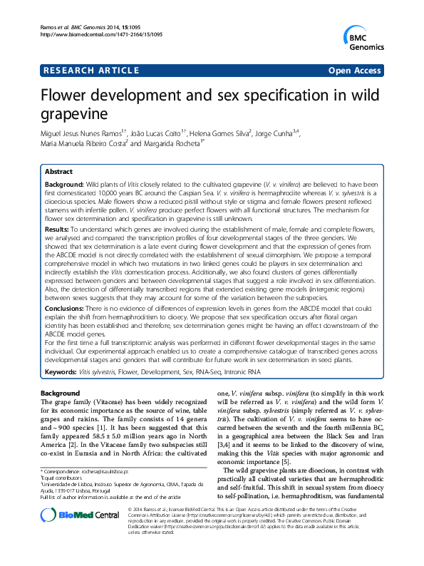 (PDF) Flower development and sex specification in wild grapevine