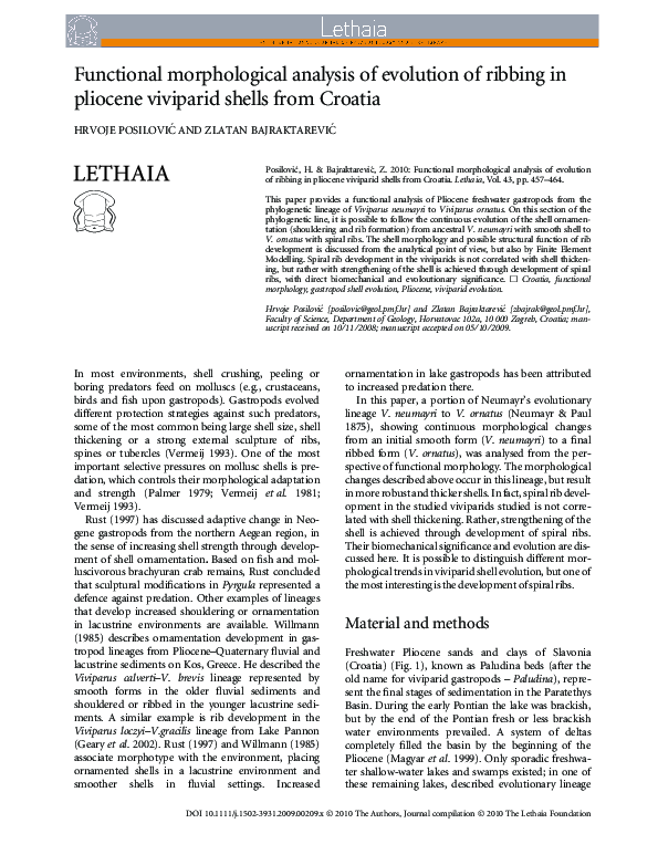 (PDF) Functional morphological analysis of evolution of ribbing in ...