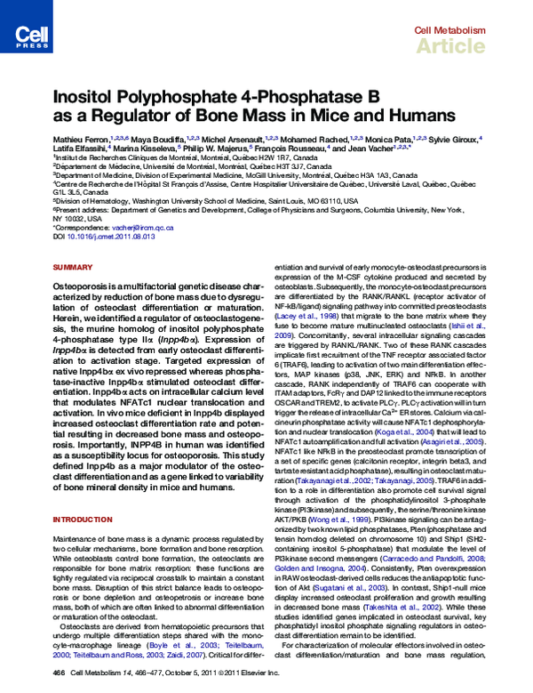 (PDF) Inositol Polyphosphate 4-Phosphatase B as a Regulator of Bone ...