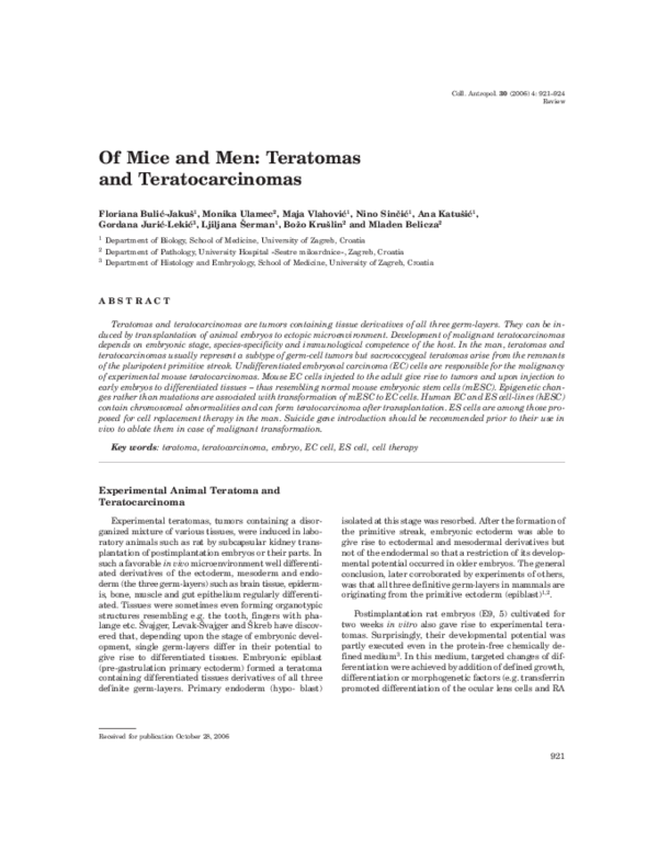 (PDF) Of mice and men: teratomas and teratocarcinomas | Mladen Belicza ...