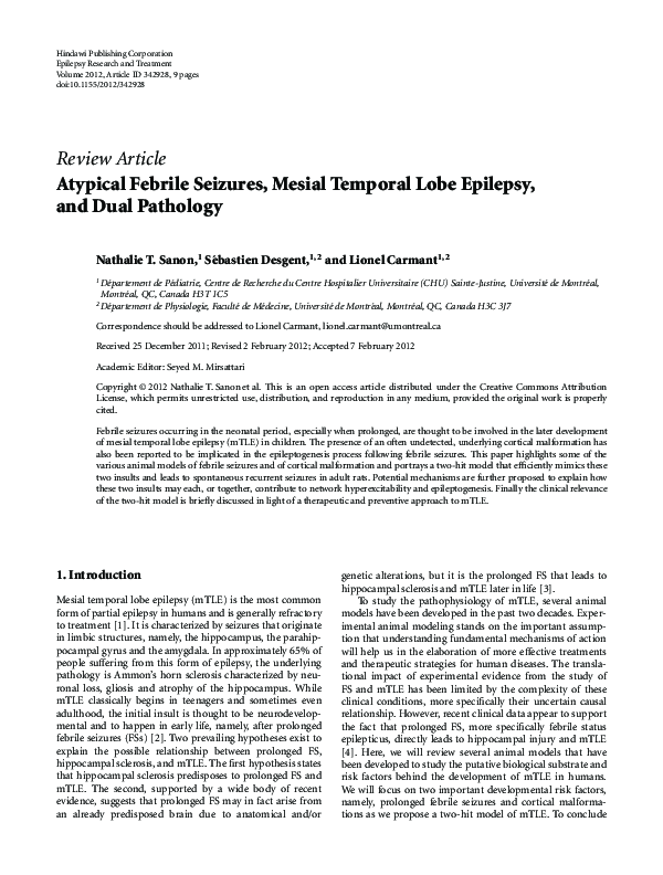 (PDF) Atypical Febrile Seizures, Mesial Temporal Lobe Epilepsy, and ...