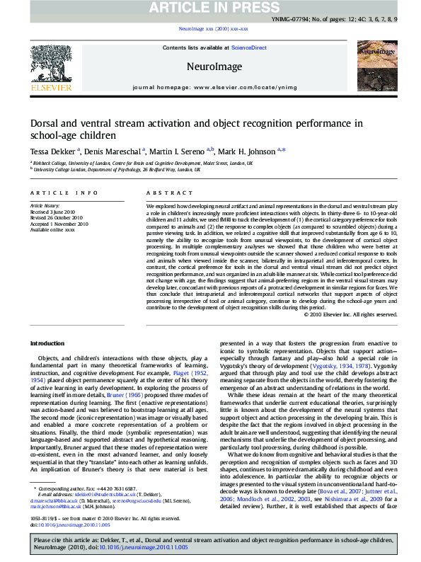 (PDF) Dorsal and ventral stream activation and object recognition performance in school-age children