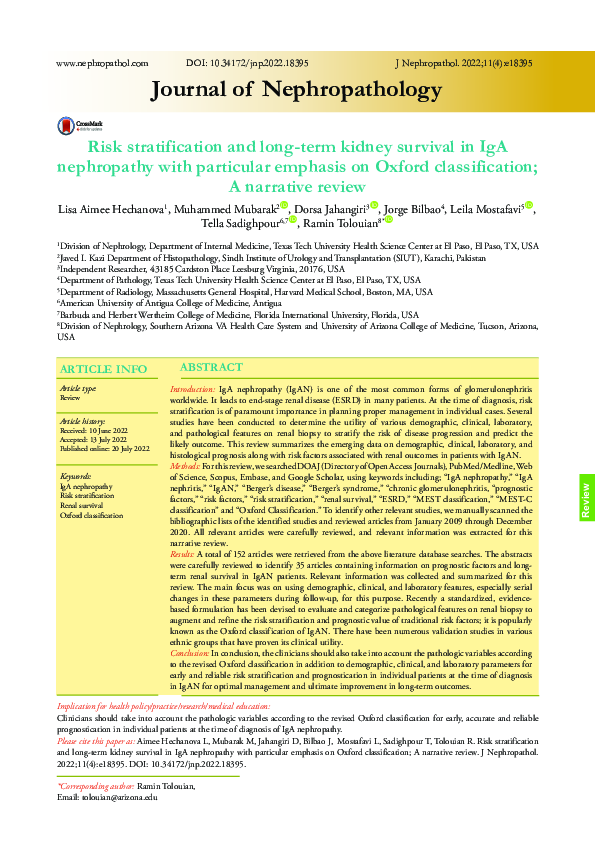 (PDF) Risk stratification and long-term kidney survival in IgA nephropathy with particular ...