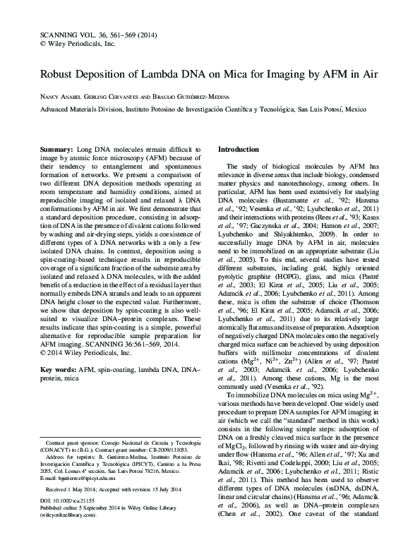 (PDF) Robust deposition of lambda DNA on mica for imaging by AFM in air