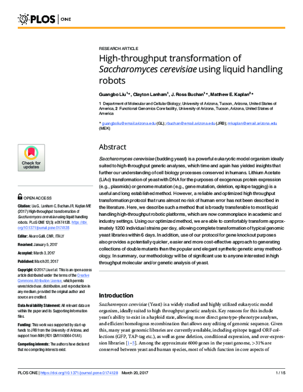 (PDF) High-throughput transformation of Saccharomyces cerevisiae using ...