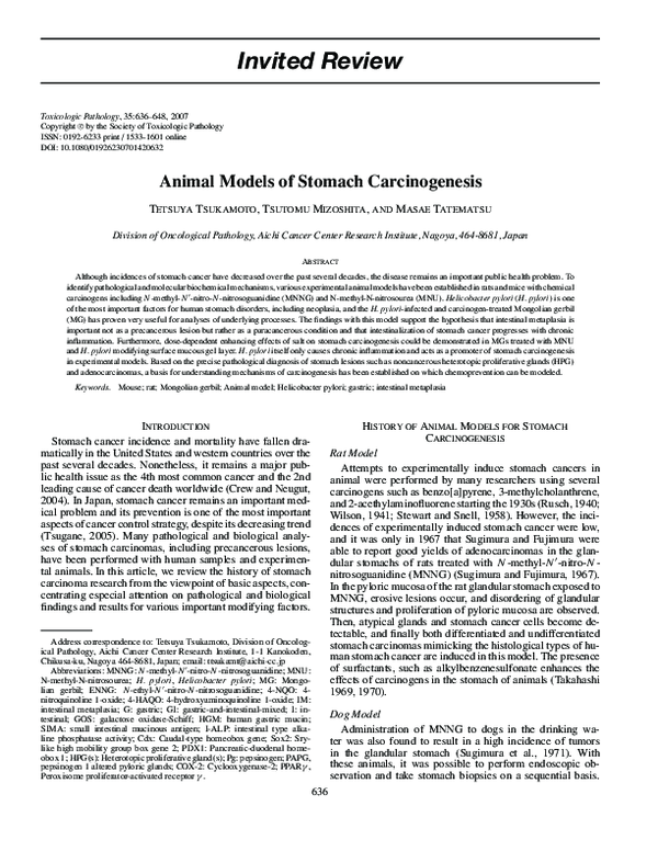 (PDF) Animal Models of Stomach Carcinogenesis