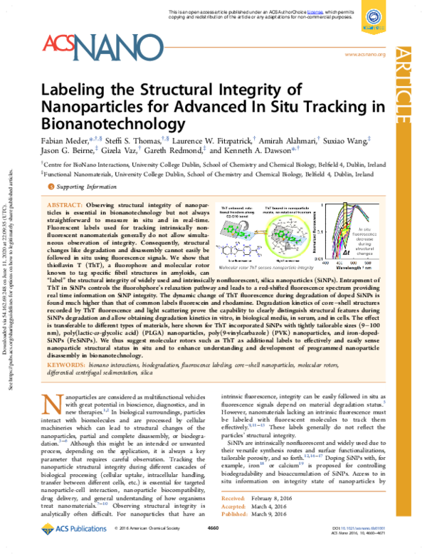 (PDF) Labeling the Structural Integrity of Nanoparticles for Advanced ...
