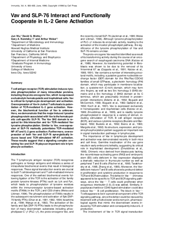 (PDF) Vav and SLP-76 Interact and Functionally Cooperate in IL-2 Gene ...