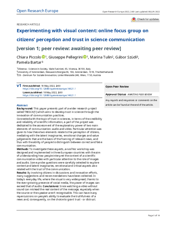 (PDF) Experimenting with visual content: online focus group on citizens ...