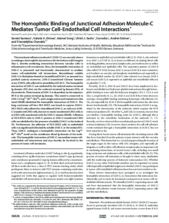 (PDF) The Homophilic Binding of Junctional Adhesion Molecule-C Mediates ...