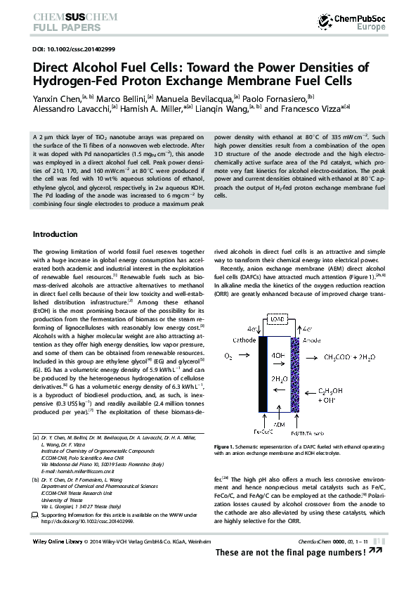 (PDF) Direct Alcohol Fuel Cells: Toward the Power Densities of Hydrogen ...