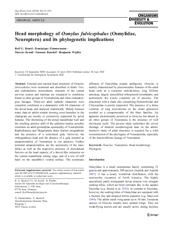 (PDF) Head morphology of Osmylus fulvicephalus (Osmylidae, Neuroptera ...