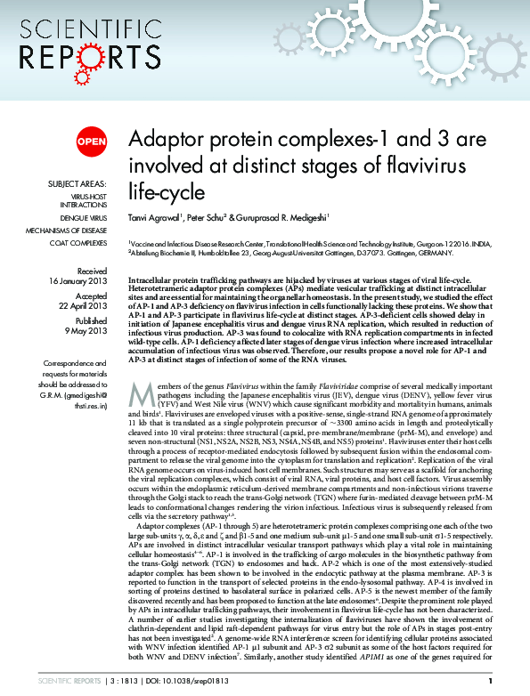 (PDF) Adaptor protein complexes-1 and 3 are involved at distinct stages ...