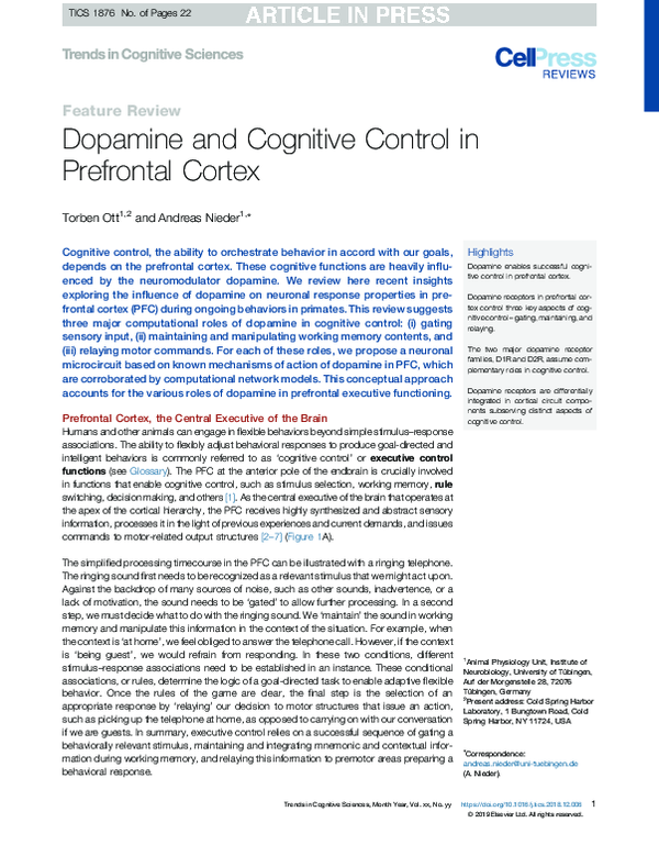 (PDF) Dopamine and Cognitive Control in Prefrontal Cortex