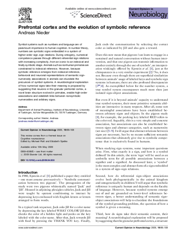 (PDF) Prefrontal cortex and the evolution of symbolic reference