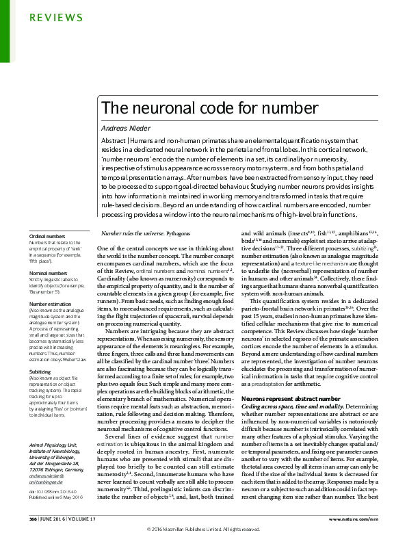 (PDF) The neuronal code for number