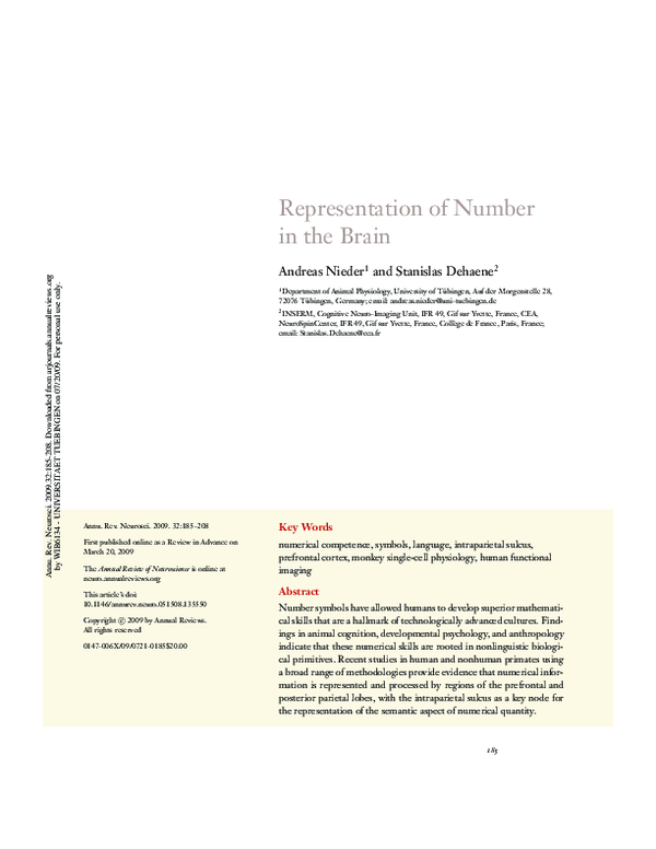 (PDF) Representation of Number in the Brain