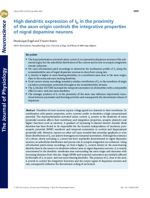 (PDF) High dendritic expression ofIhin the proximity of the axon origin controls the integrative ...