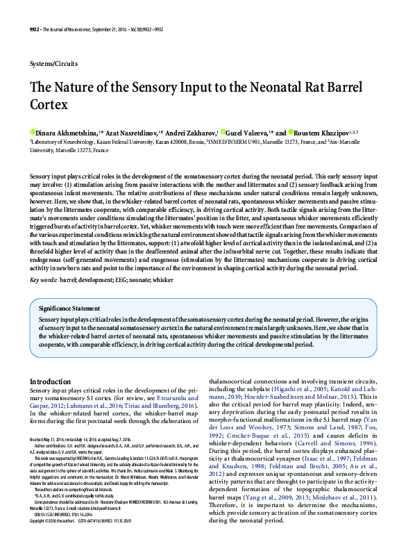 (PDF) The Nature of the Sensory Input to the Neonatal Rat Barrel Cortex