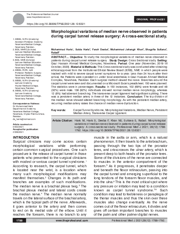 (PDF) Morphological variations of median nerve observed in patients ...