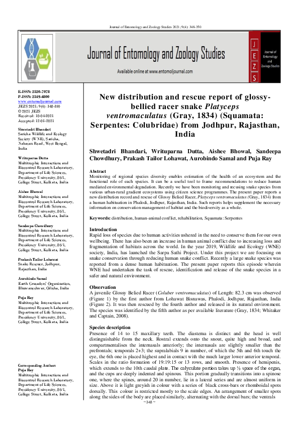 (PDF) New distribution and rescue report of glossy-bellied racer snake ...