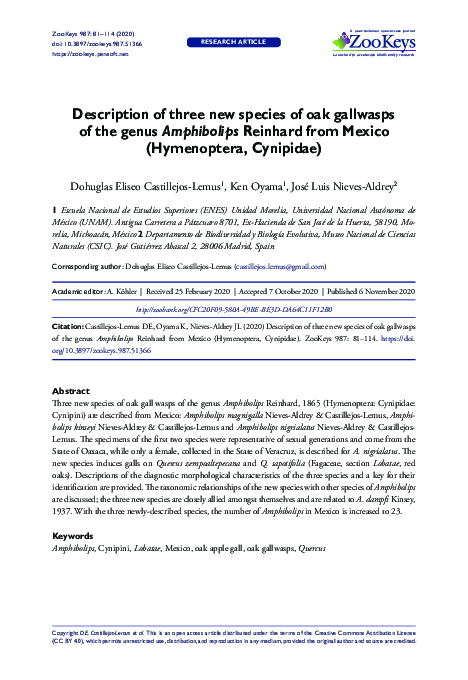 (PDF) Description of three new species of oak gallwasps of the genus ...