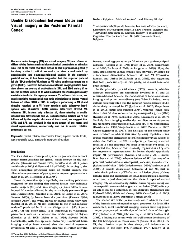 (PDF) Double Dissociation between Motor and Visual Imagery in the Posterior Parietal Cortex