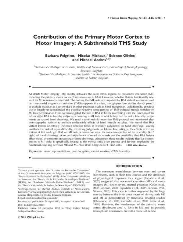 (PDF) Contribution of the primary motor cortex to motor imagery: A ...