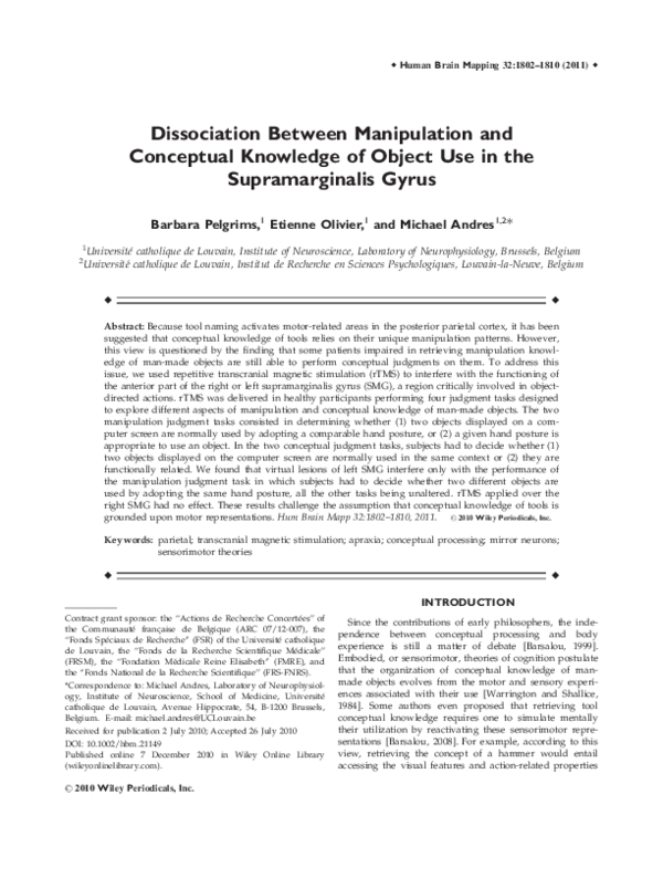 (PDF) Dissociation between manipulation and conceptual knowledge of ...