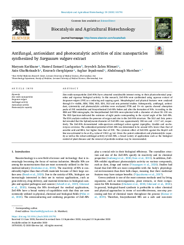 (PDF) Antifungal, antioxidant and photocatalytic activities of zinc nanoparticles synthesized by ...