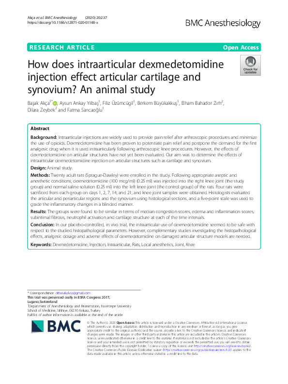 (PDF) How does intraarticular dexmedetomidine injection effect ...
