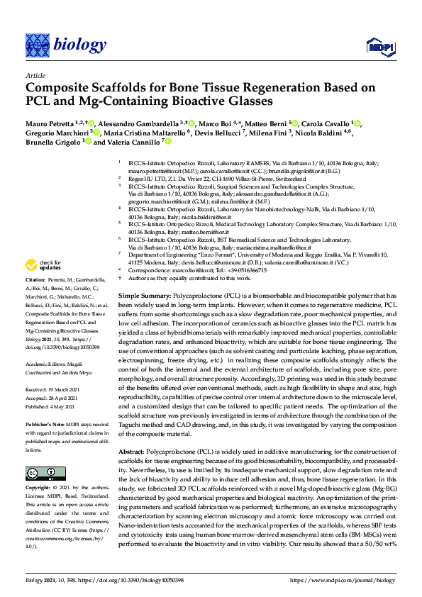 (PDF) Composite Scaffolds for Bone Tissue Regeneration Based on PCL and ...