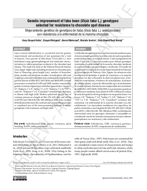 (PDF) Genetic improvement of faba bean (Vicia faba L.) genotypes selected for resistance to ...