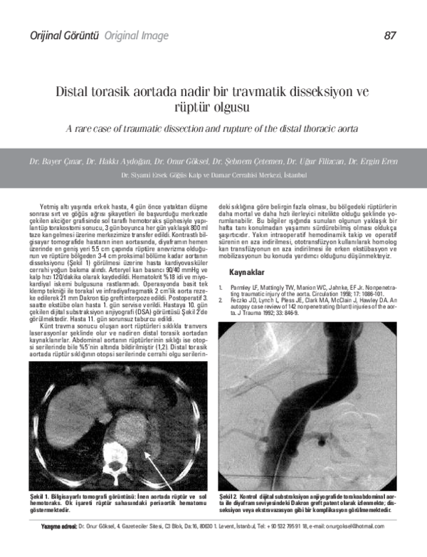 (PDF) [A rare case of traumatic dissection and rupture of the distal ...