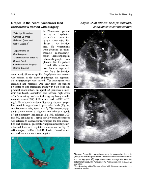 (PDF) Grapes in the heart: pacemaker lead endocarditis treated with ...