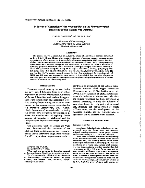 Pdf Influence Of Castration Of The Neonatal Rat On The