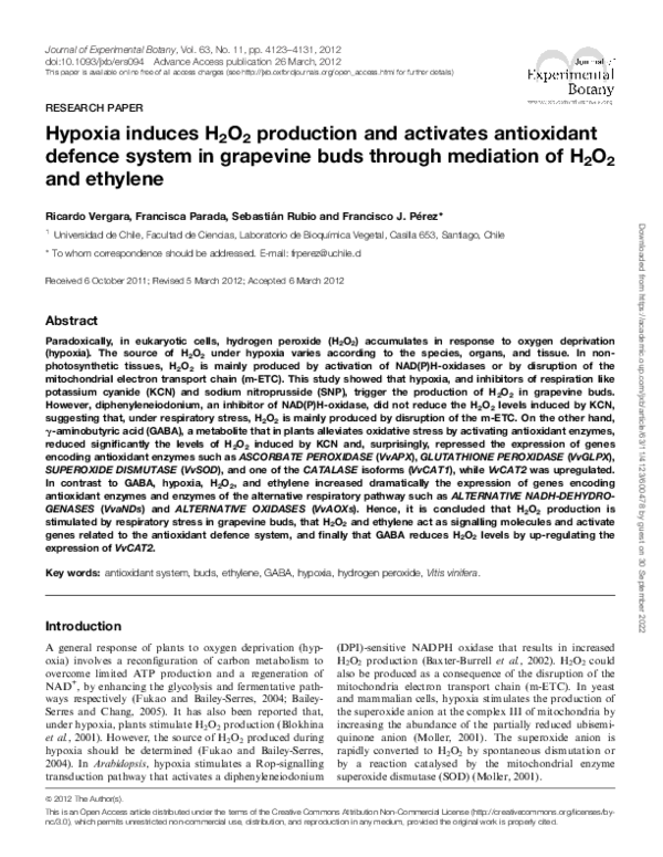 (PDF) Hypoxia induces H2O2 production and activates antioxidant defence ...