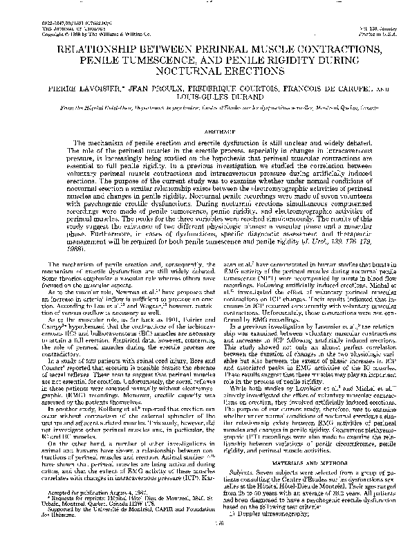(PDF) Relationship Between Perineal Muscle Contractions, Penile ...