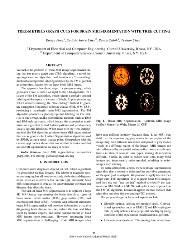 (PDF) Tree-metrics graph cuts for brain MRI segmentation with tree cutting