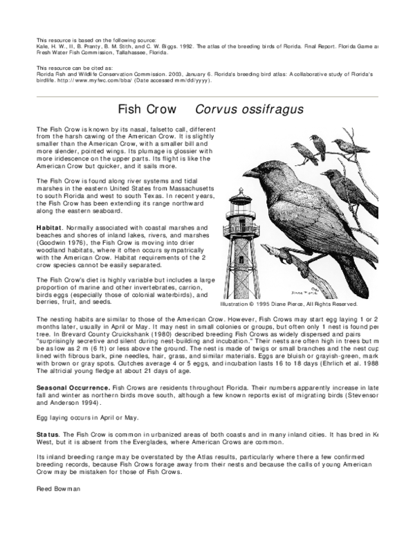 (PDF) Fish Crow (Corvus ossifragus)